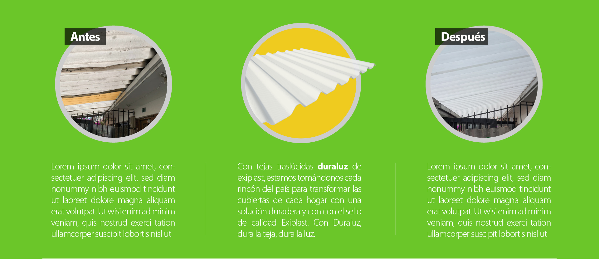 Landing prueba - Exiplast